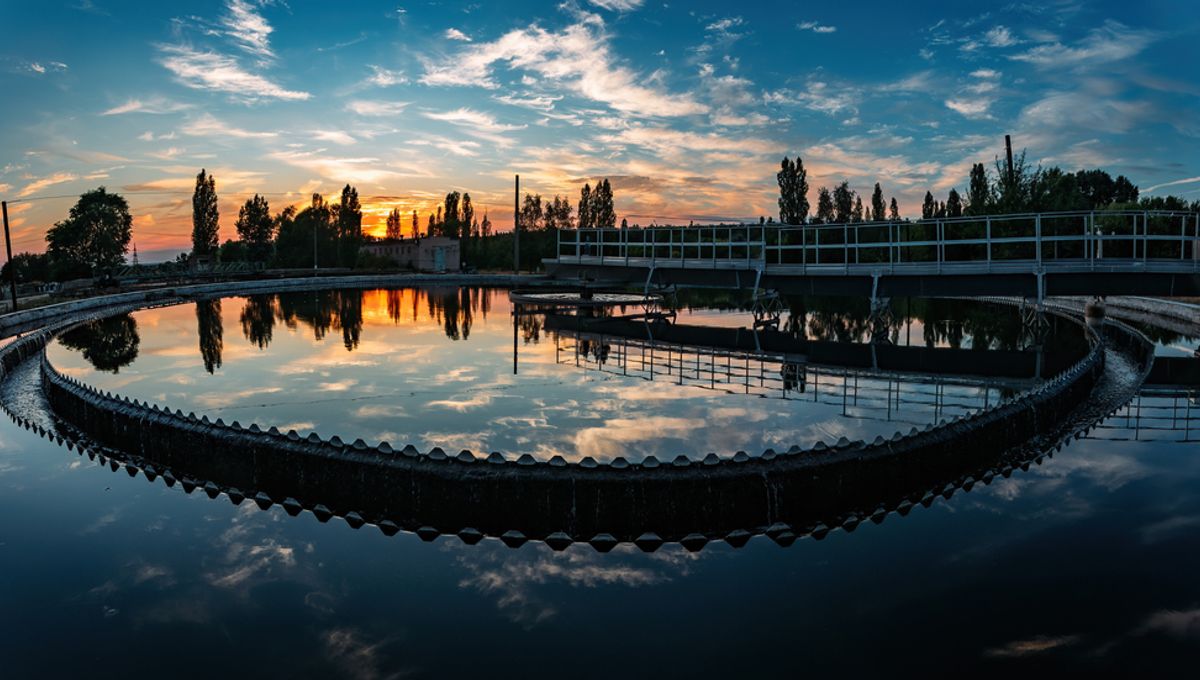 Polio Found In Sewer Water Of New York State, | IFLScience