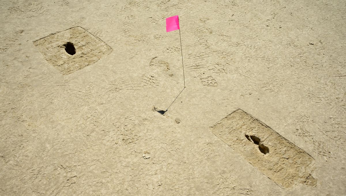12,000-Year-Old Footprints Some Of Oldest Ever Found In US | IFLScience