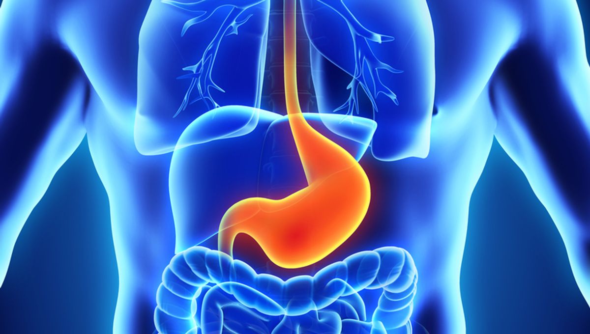 How Body Position Impacts The Absorption Of Pills New Study Shows ...