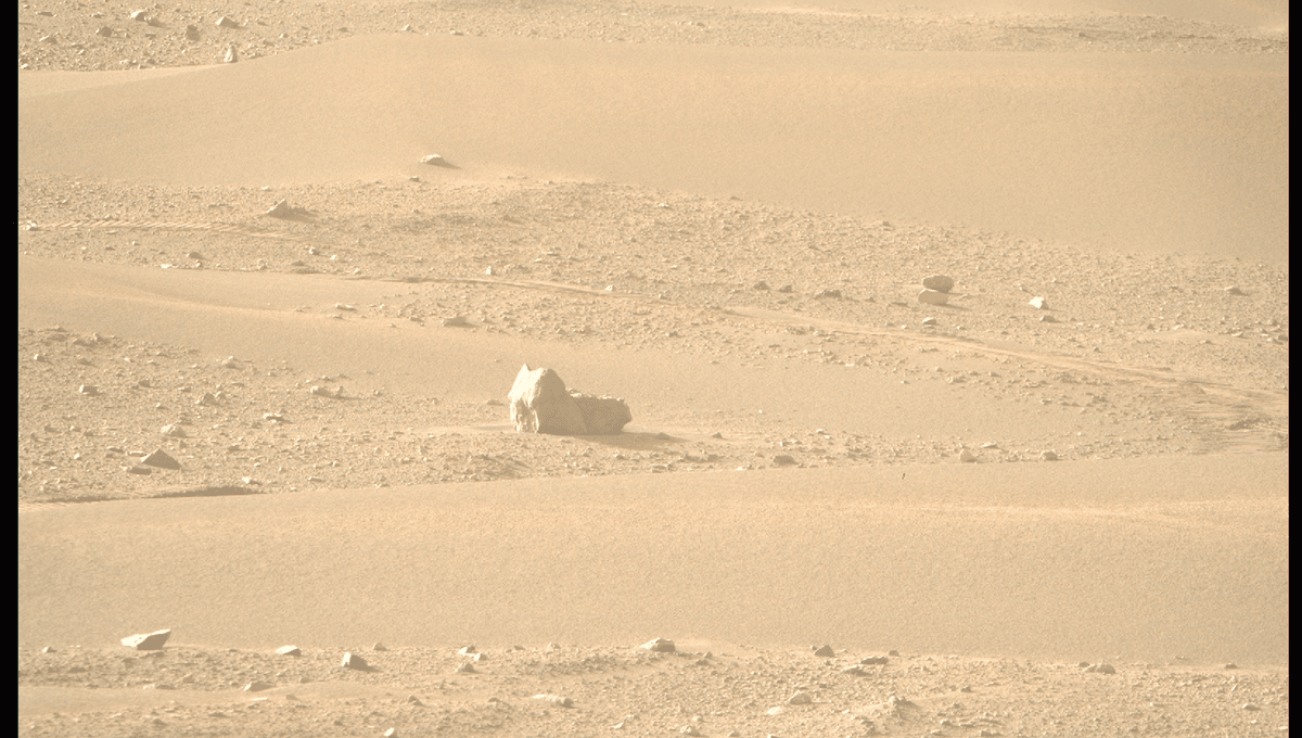 Cat-Like Rock Spotted By NASA’s Perseverance On Mars | IFLScience