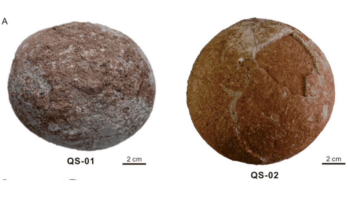 Dinosaur Eggs Full Of Crystals From The Cretaceous Found In China ...