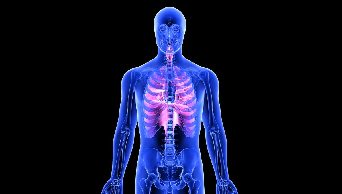 ‘Breath Training’ Twice A Day Can Lower Blood Pressure, Study Finds ...