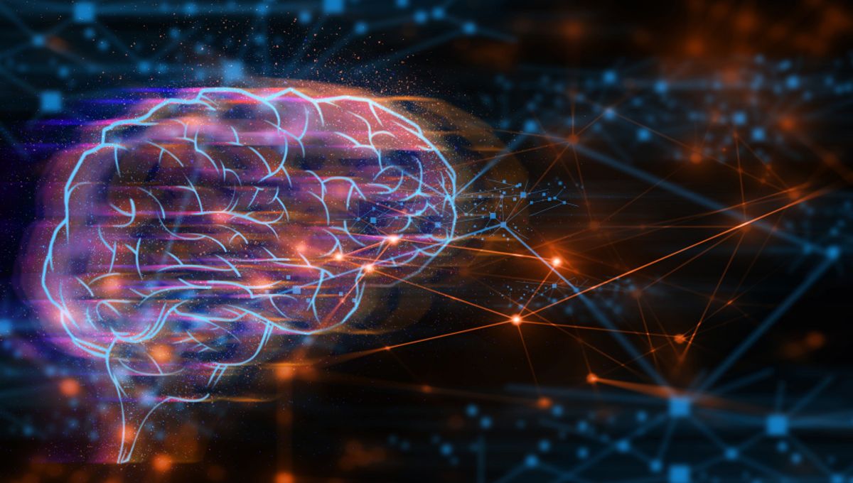 How Are Psychopaths' Brains Different From Others? - TrendRadars