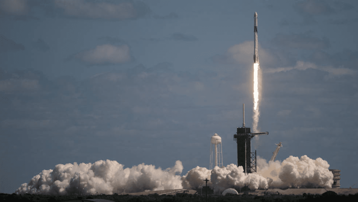 Einstein Action Figurine Iflscience