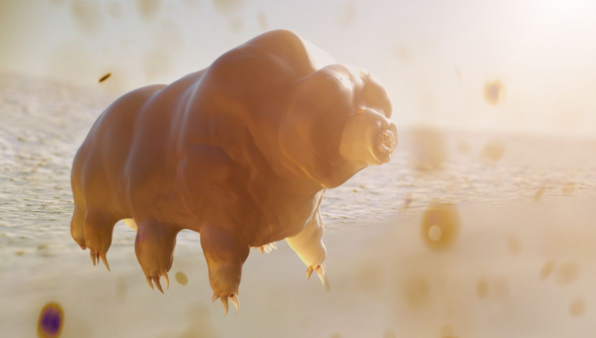 ‘Sleeping Beauty’ Hypothesis Explains How Tardigrades Survive Being Frozen | IFLScience