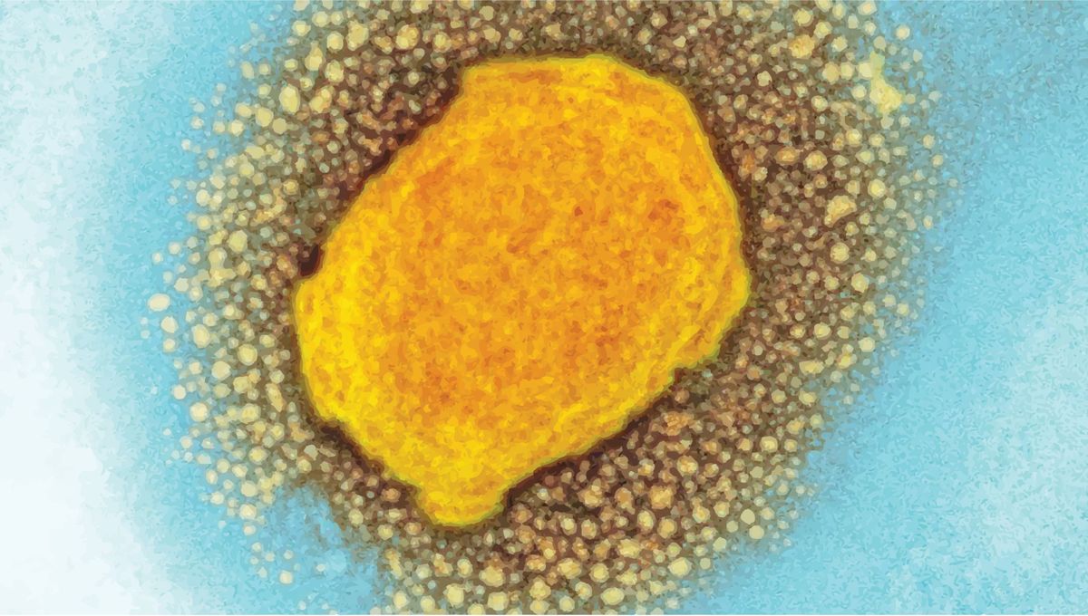 Officials Warn Deadly Monkeypox Variant In DRC Could Soon Spread ...