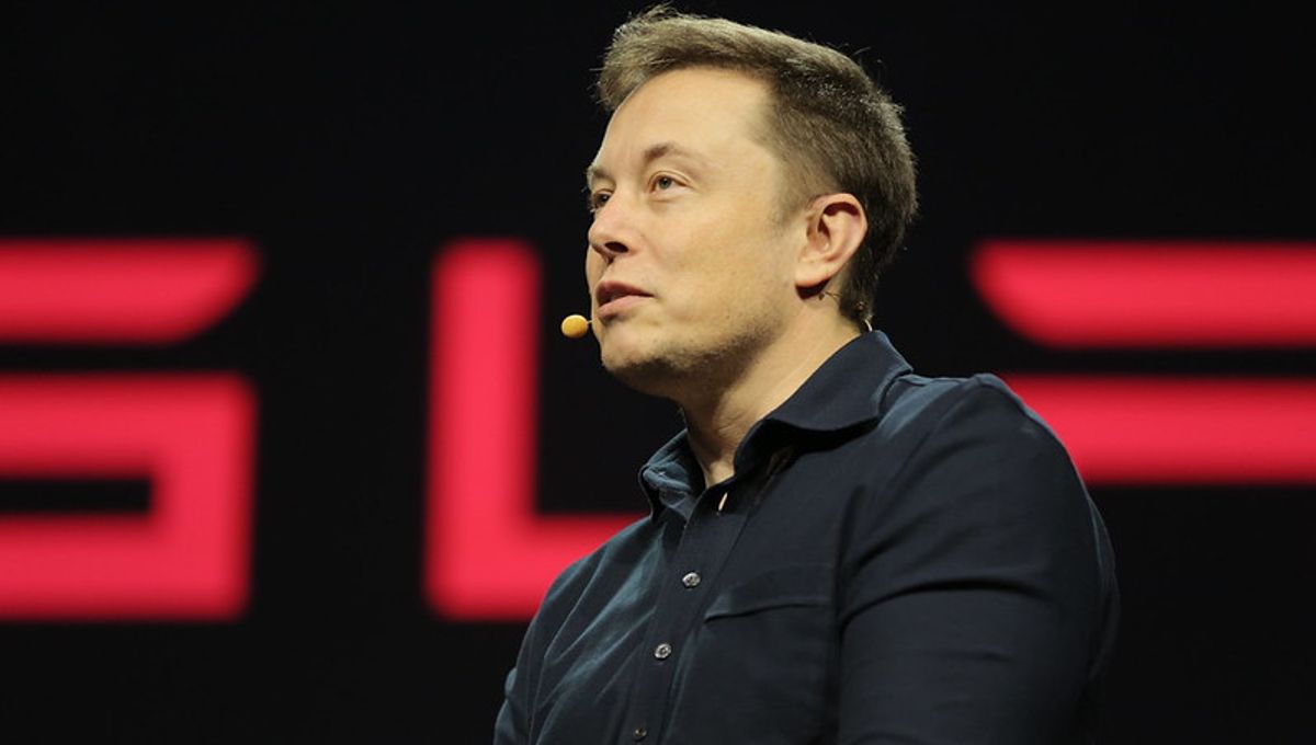 Musk | IFLScience