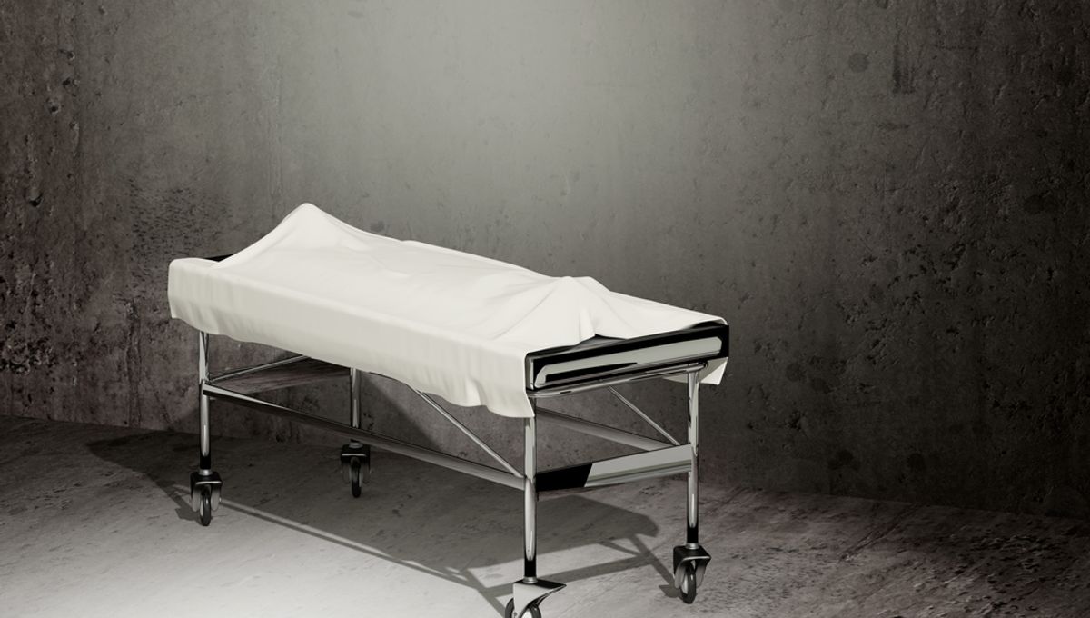 Anatomists Demonstrate How An Erection Works In Video Using Human ...