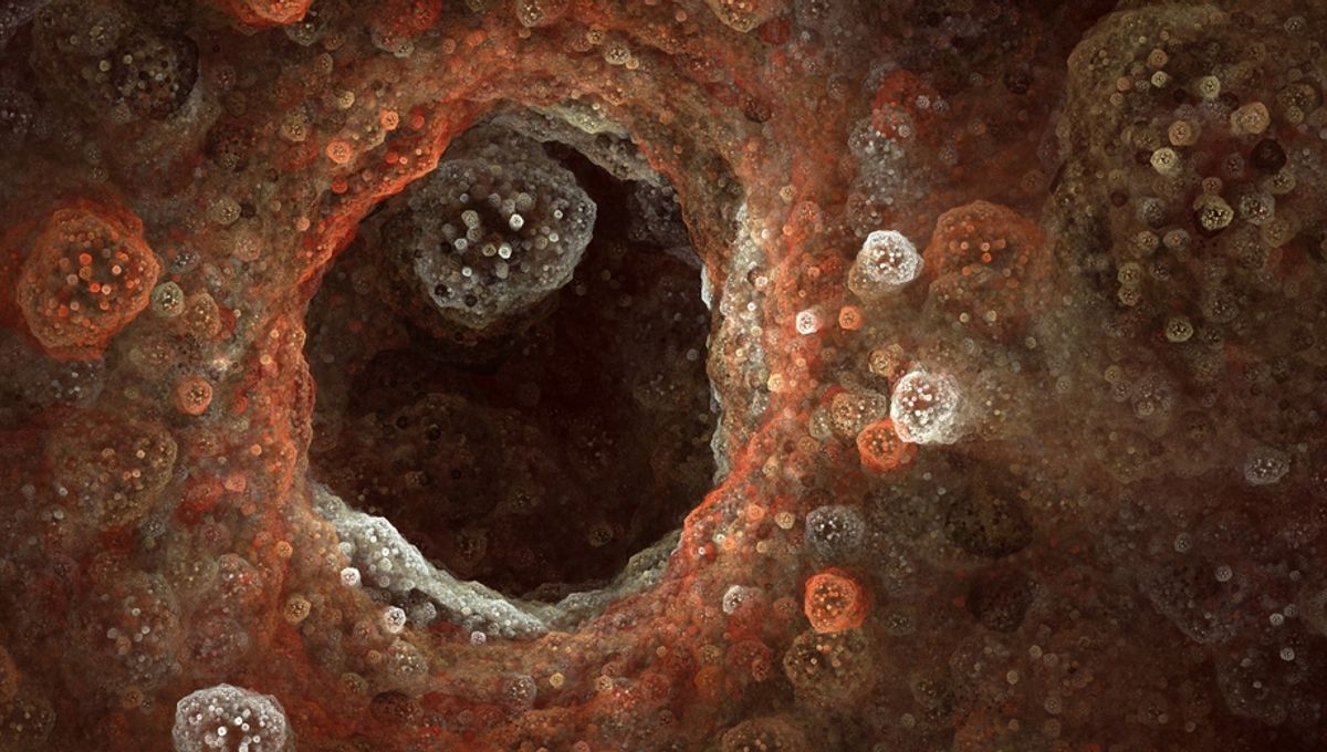 New Cave Bacteria Might Help Treat Gluten Intolerance - Or Find Life On ...