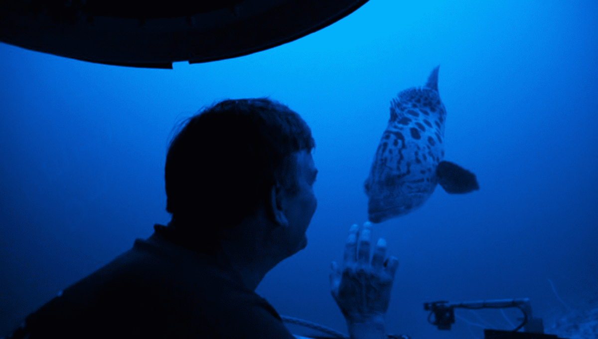 "Oasis Of Life" | IFLScience