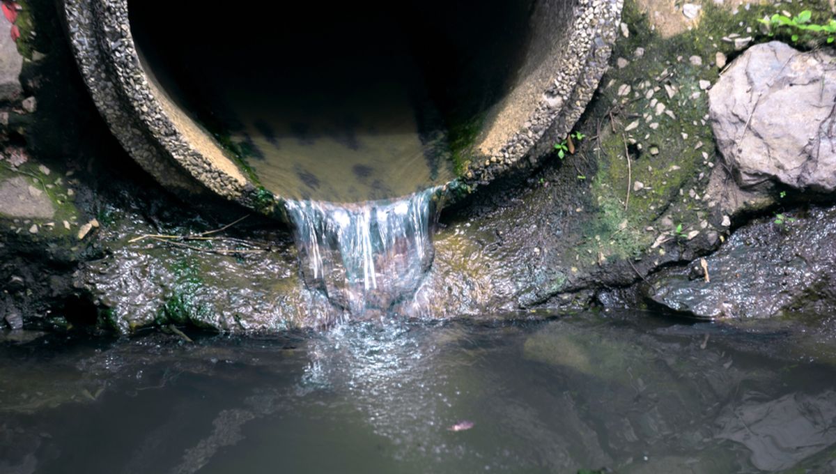 Chemicals In Your Home Are Creating Superburgs In Sewer Sludge | IFLScience