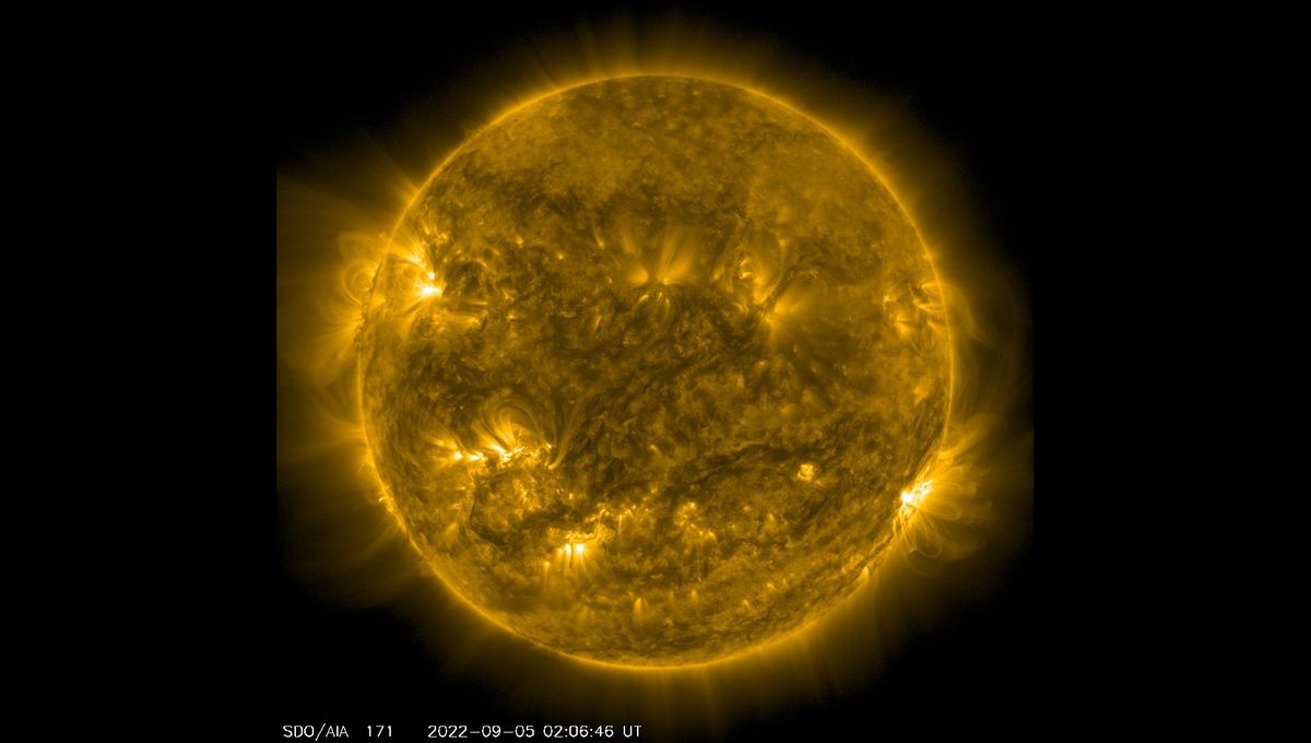 Solar Orbiter Spots Celestial Snake Slither Across The Sun’s Surface ...