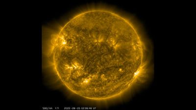 Solar Orbiter Spots Celestial Snake Slither Across The Sun’s Surface ...
