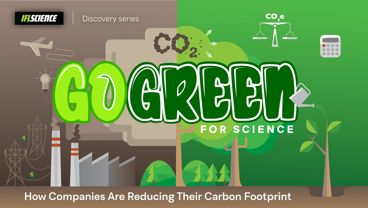 Go Green For Science: How Companies Are Reducing Their Carbon Footprint ...