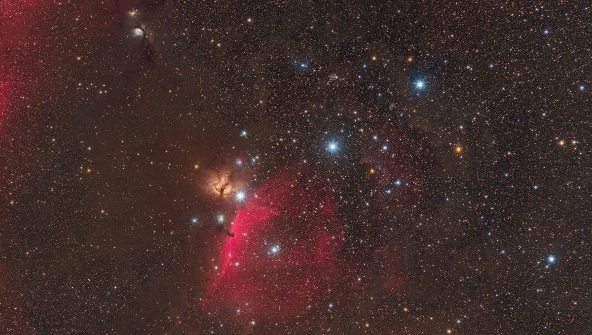 Orion's Belt: What Is It and How To See It | IFLScience