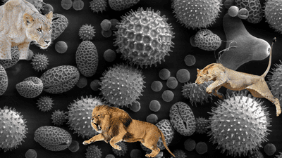 “Microbial Lions” Are Latest Branch Of The Tree Of Life | IFLScience