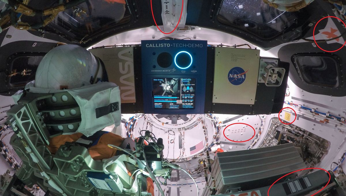Did You Find All The Easter Egg In Orion Capsule? | IFLScience