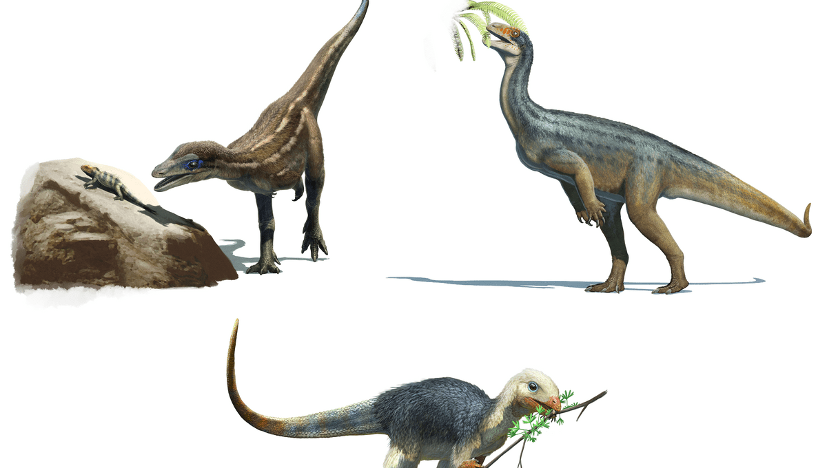 The Giant Herbivorous Sauropods Were Descended From Meat-Eating ...