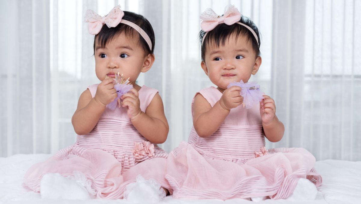 Difference Between Twin And Co Twin At Junior Sweet Blog Difference Between Twin And Co Twin At Junior Sweet Blog