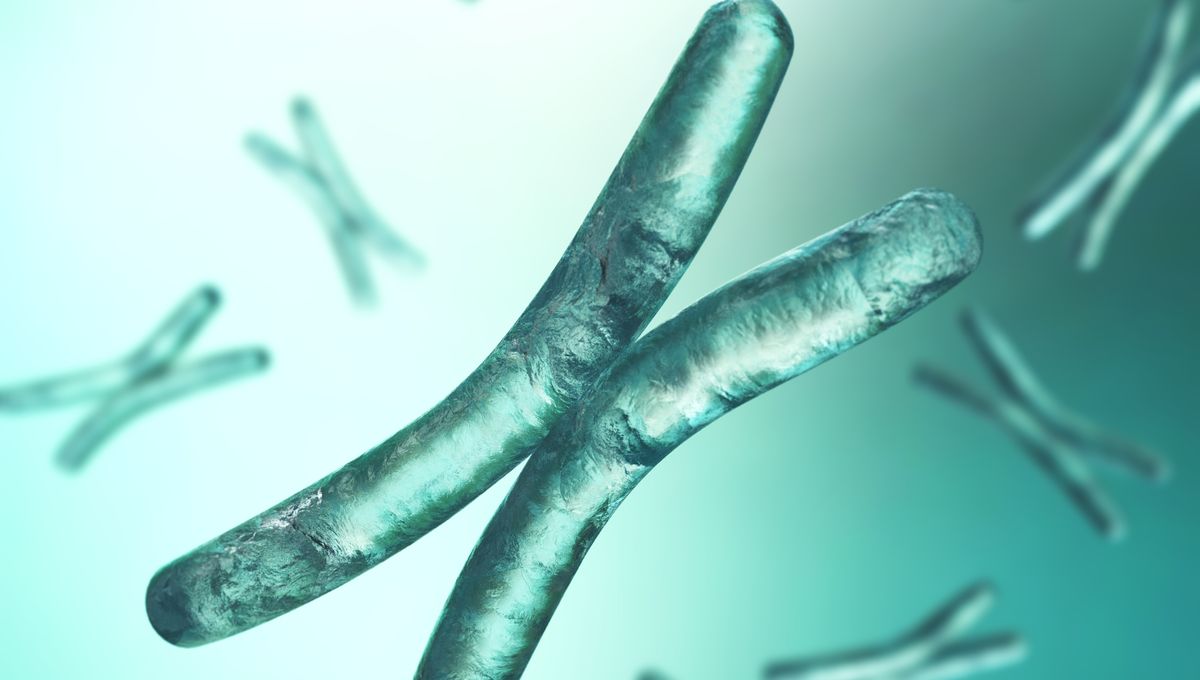 Genetically Male And Female Cells Have Now Been Created From The Same ...