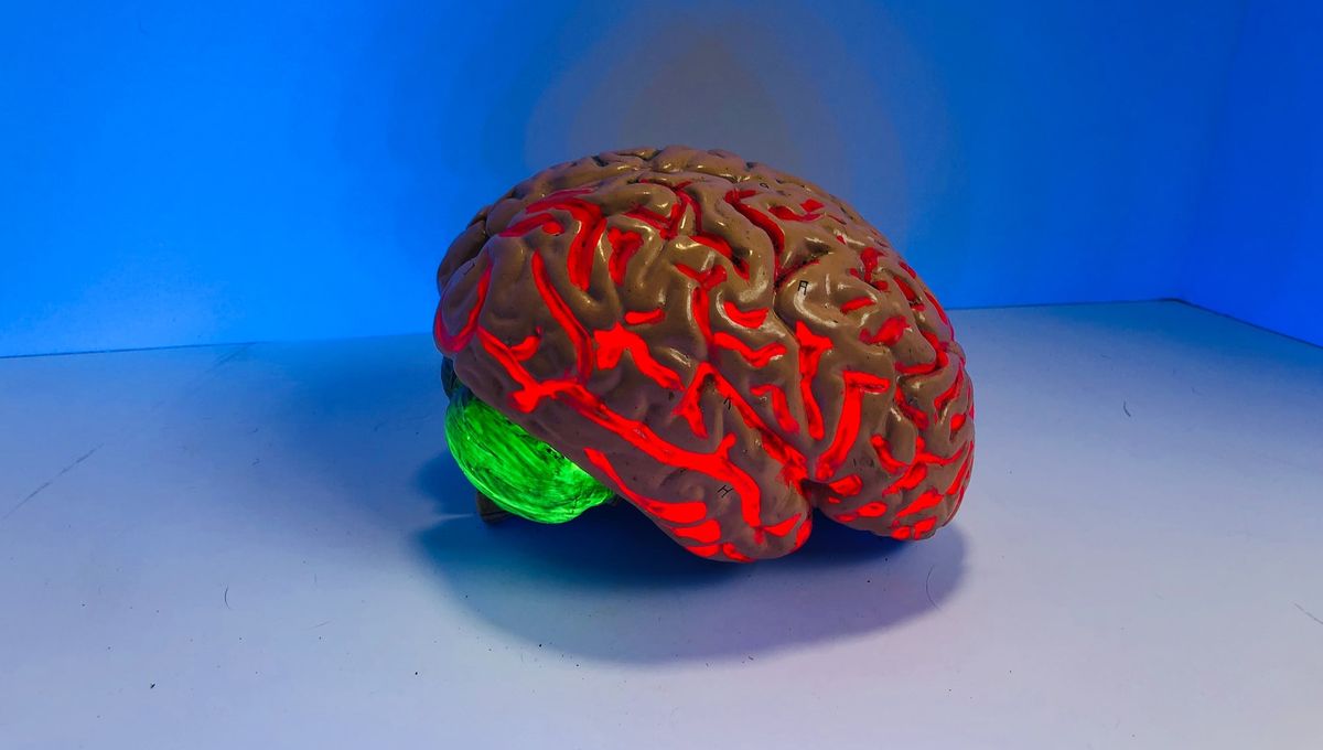 Researchers Can See Depression In A Brain Scan - And Treat It | IFLScience