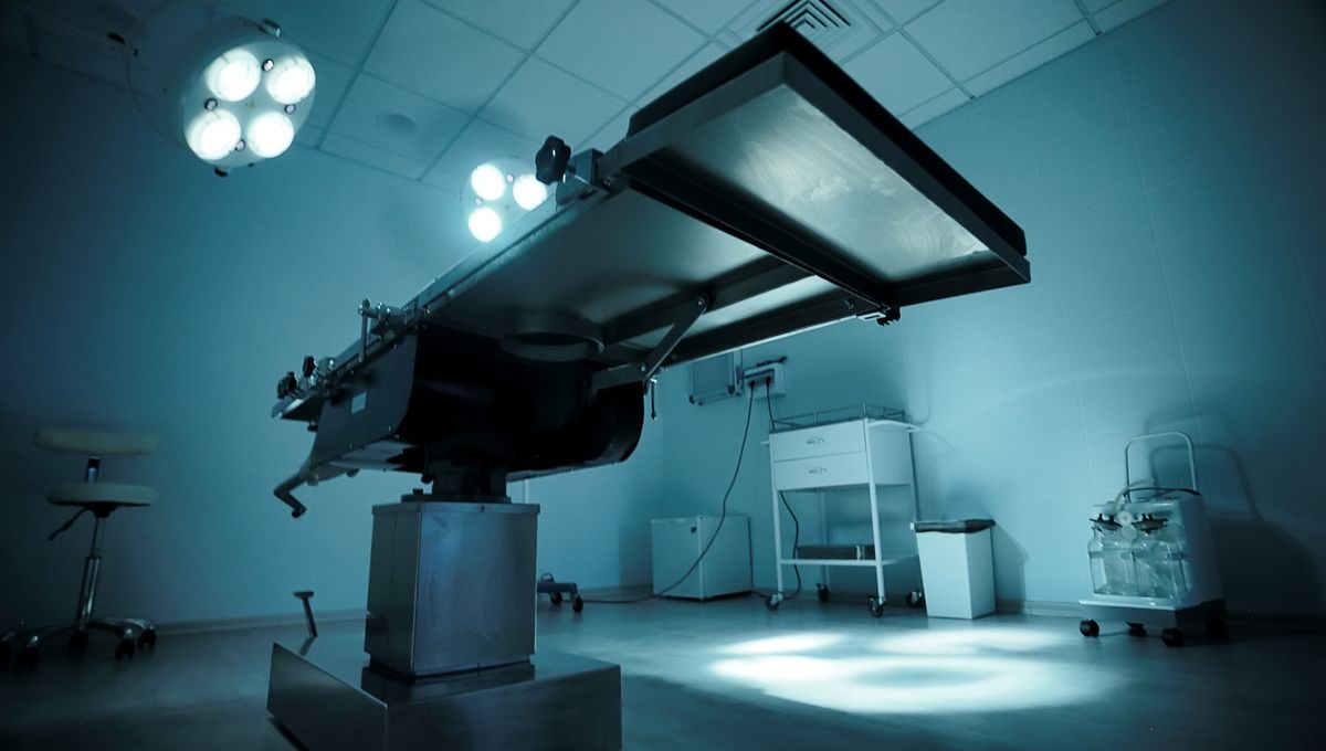 Have You Ever Wondered What Happens In An Autopsy Room, Forensic ...