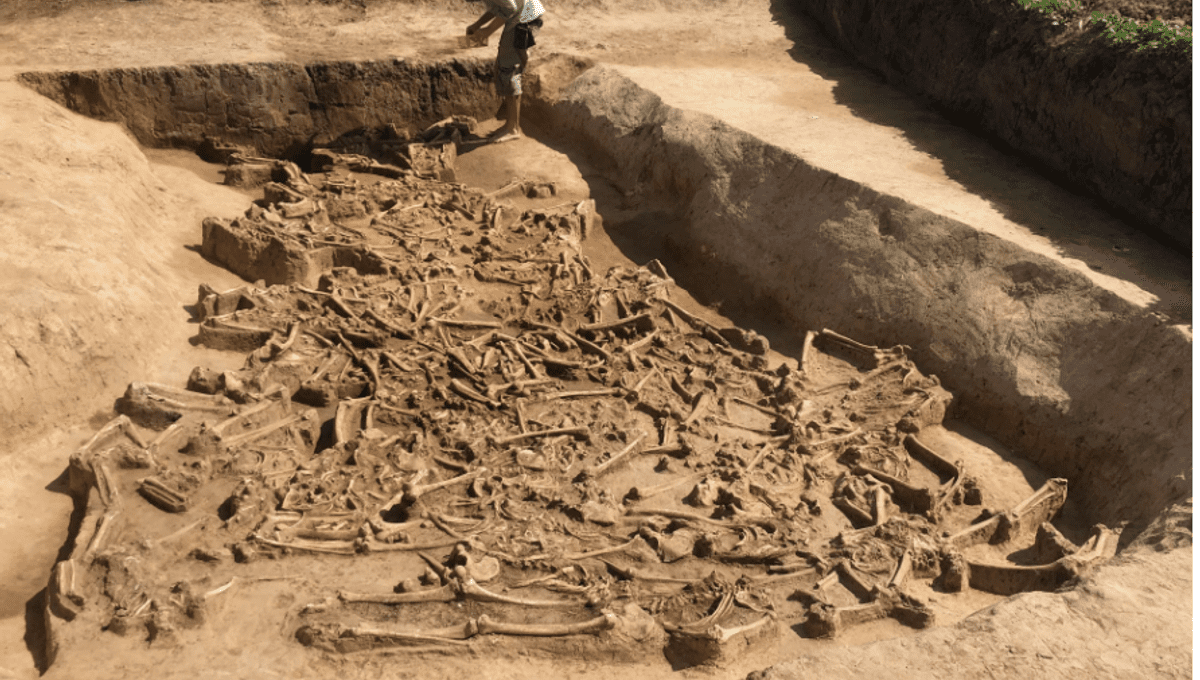 Massacre? Or Something Stranger? 37 Headless Skeletons | IFLScience