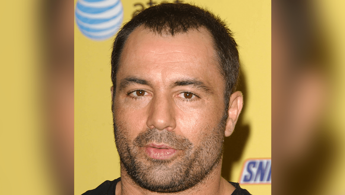 Joe Rogan Podcast Sparks Hunt For Mammoth Bones In New York’s East ...