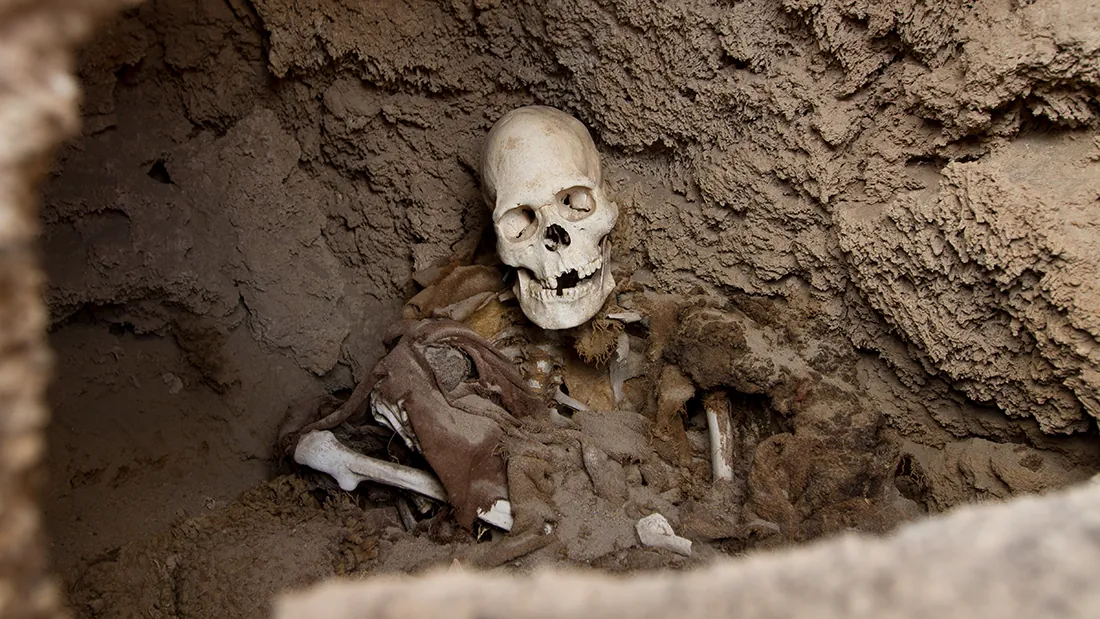 Quotfrankensteinquot Bog Mummies Discovered In Scotland