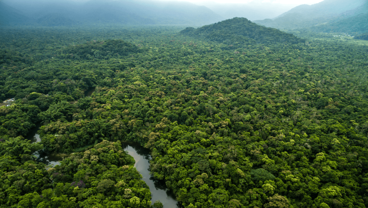 Rio Hamza | IFLScience