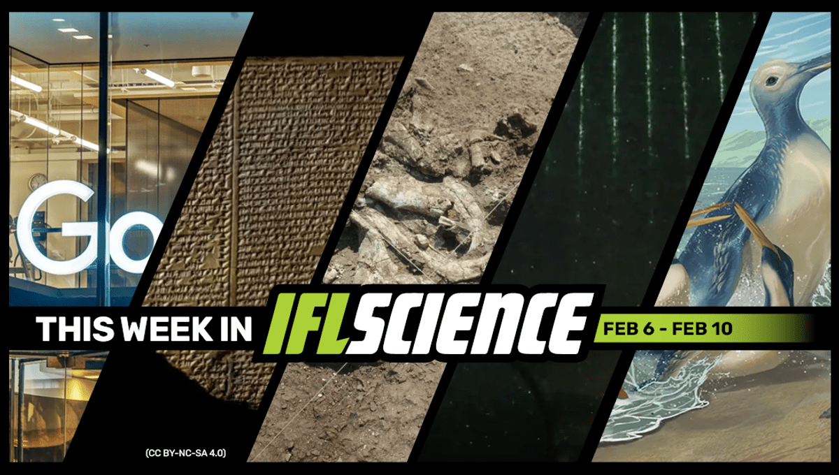 TWIS: Google’s Embarrassing Error Plunged Share Prices, Evidence Of ...