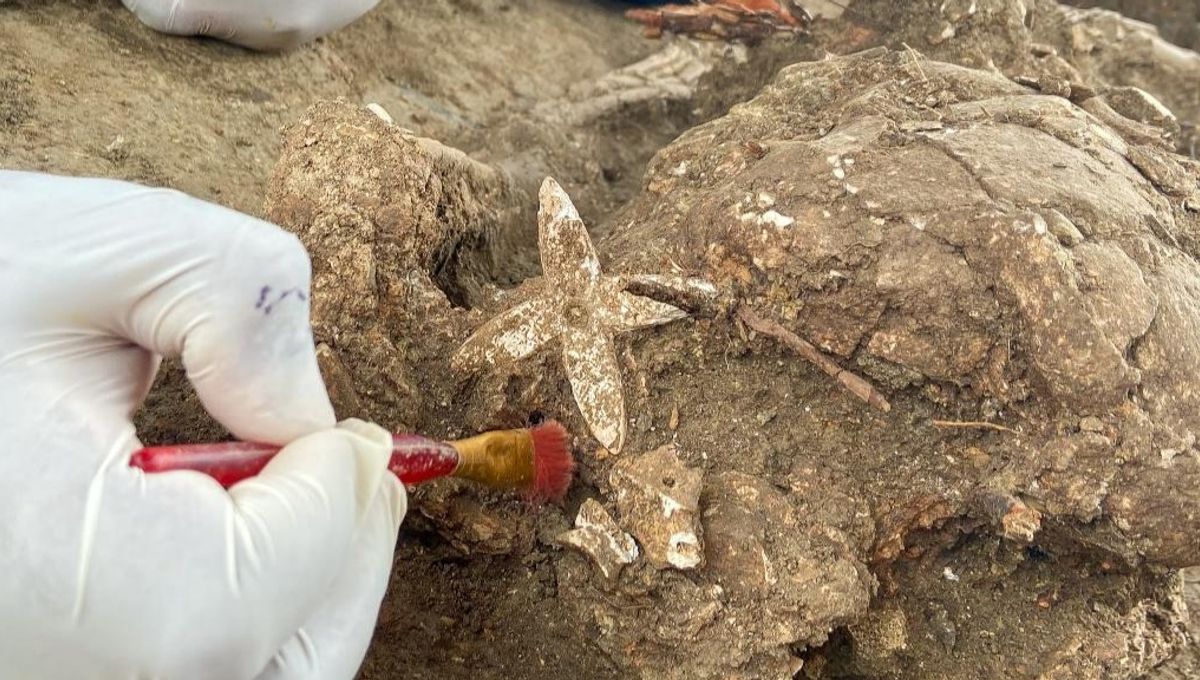 Shell And Green Quartz Flowers Found In 1,000 Year Old Mexican Burial ...