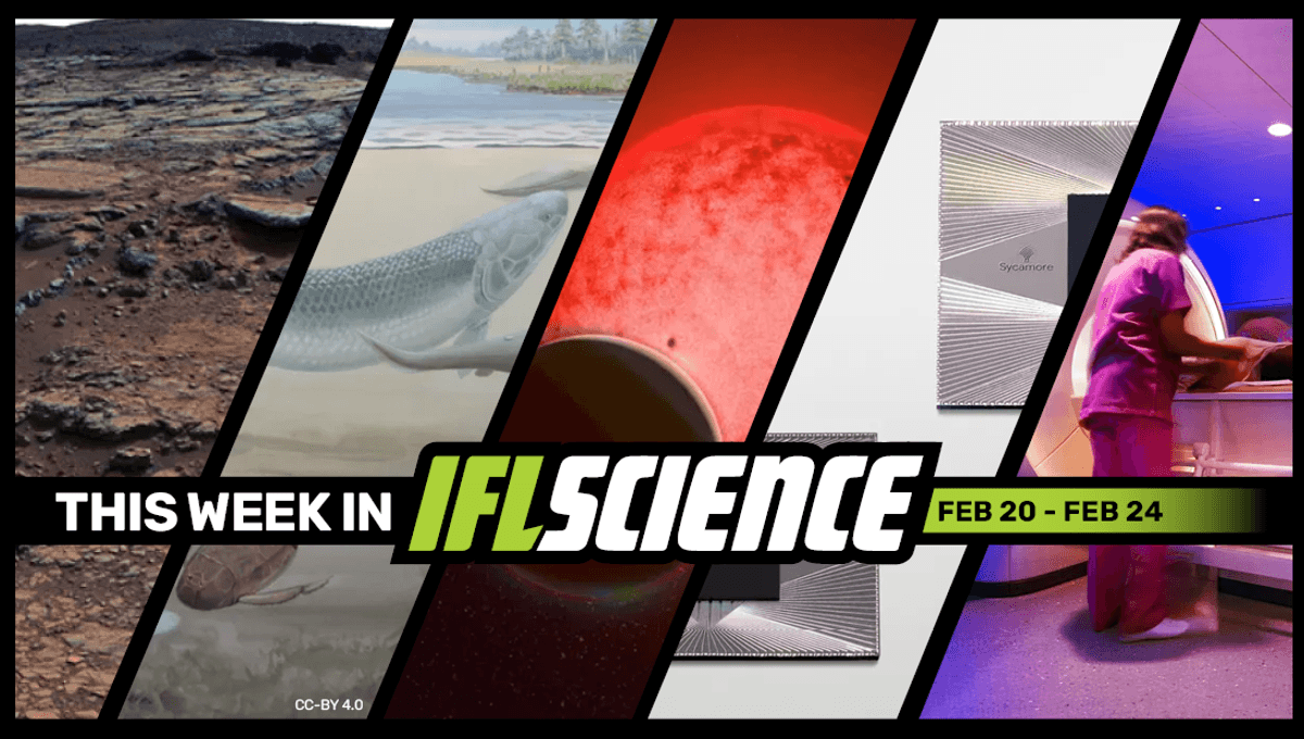 TWIS: Discovery Of Unknown DNA In Mars-Like Conditions, 360-Million ...