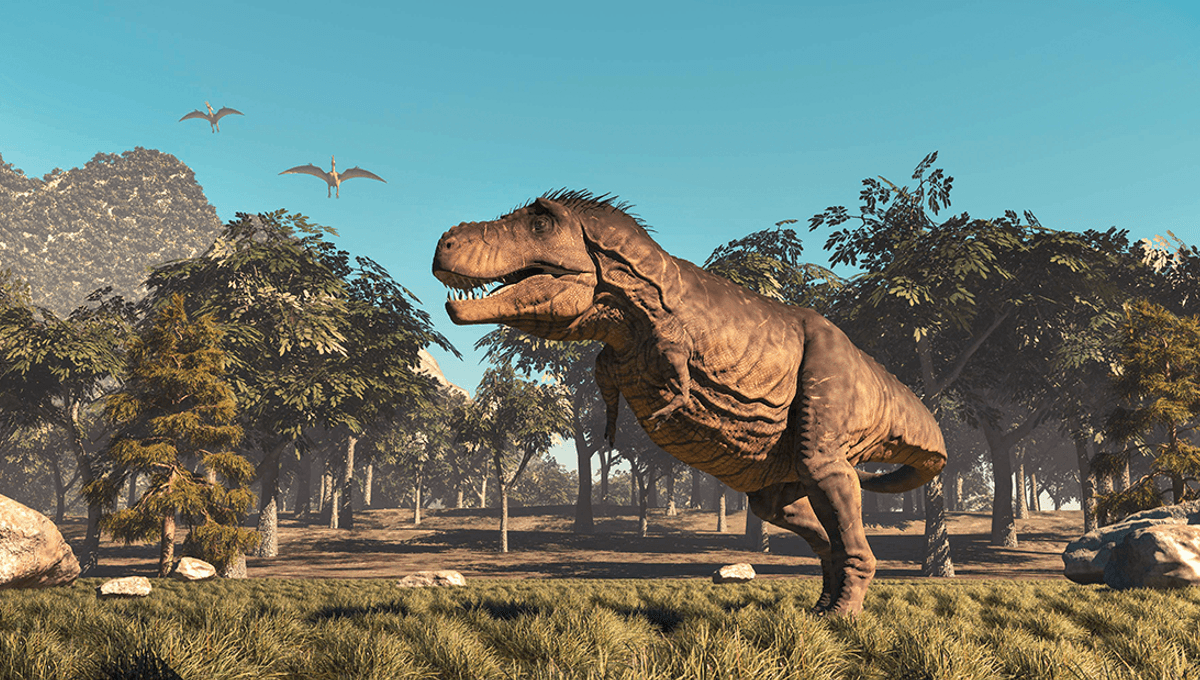 3D Animation Compares The Size Of 150 Living And Extinct Animals ...