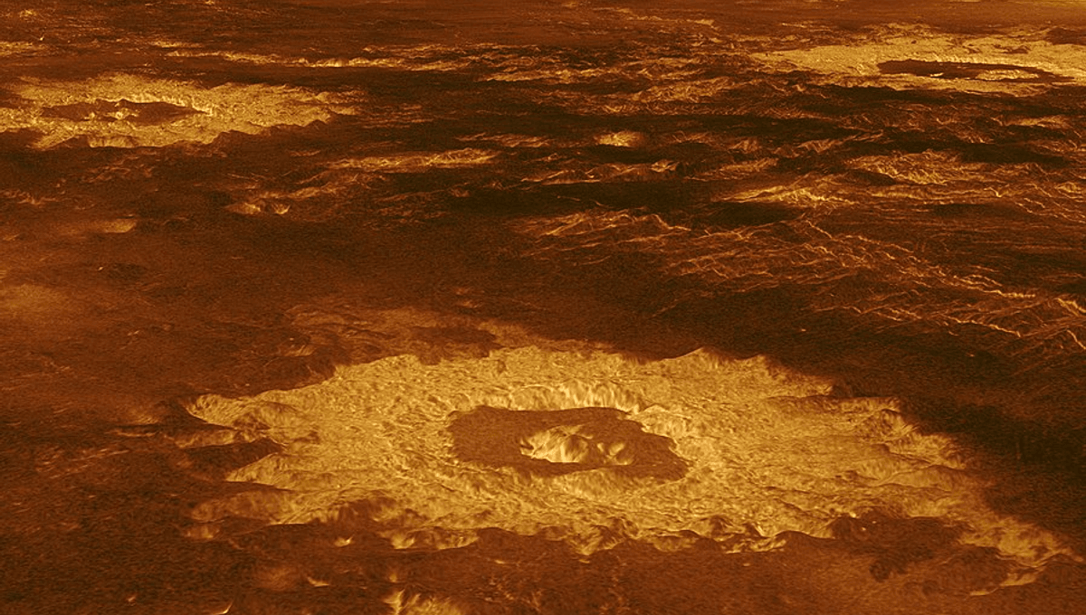 Possible Oceans Of Venus Might Have Overlapped With Life On Earth ...