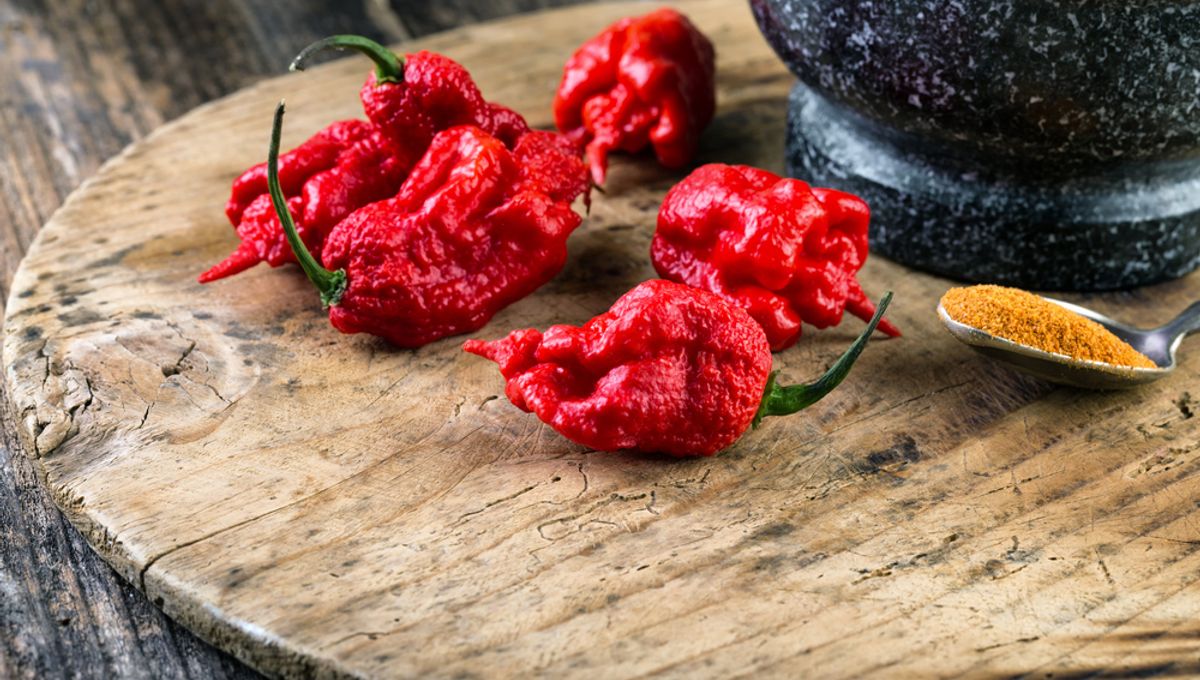 Spicy Chilli Molecule Capsaicin Could Massively Reduce Pain In People ...