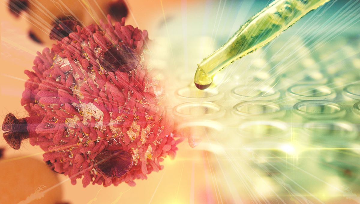 One Drug Stopped Progression Of Many Types Of Cancers In Small Trial ...