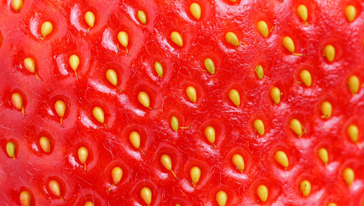 Video Of Strawberry Under A Microscope Is Here To Ruin Your Day ...