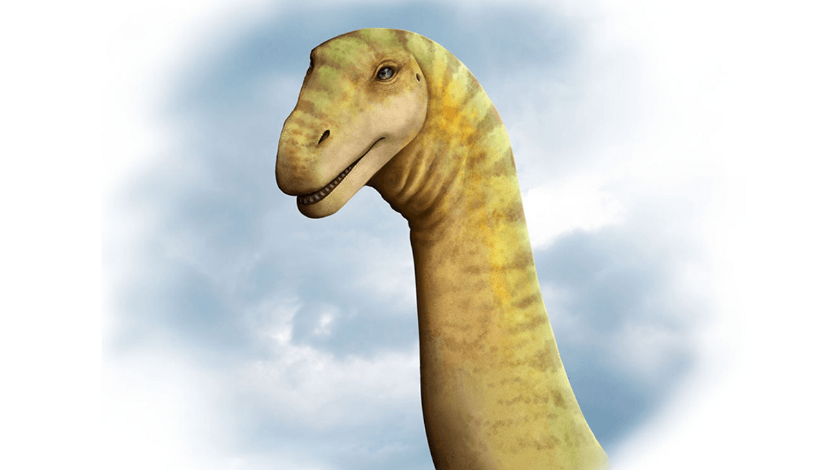 95-Million-Year-Old “Near-Complete” Dinosaur Skull Is First Of Its Kind ...