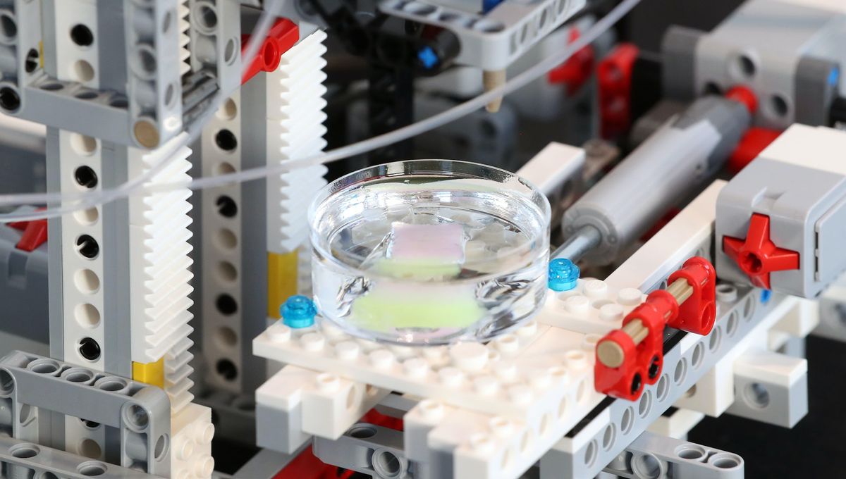 We Built A Human-Skin Printer From Lego And We Want Every Lab To Use ...