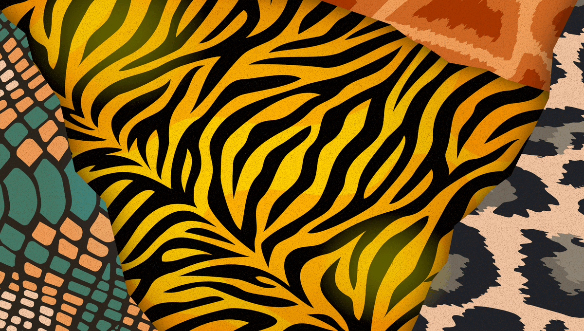 Why Is Nature Full Of Patterns? | IFLScience