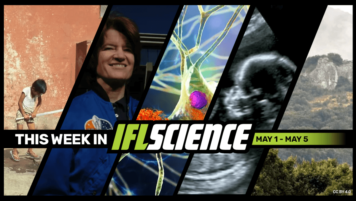 TWIS: Serious Warning From WMO Says We Should Prepare For El Niño, Why Only Women Should Be ...