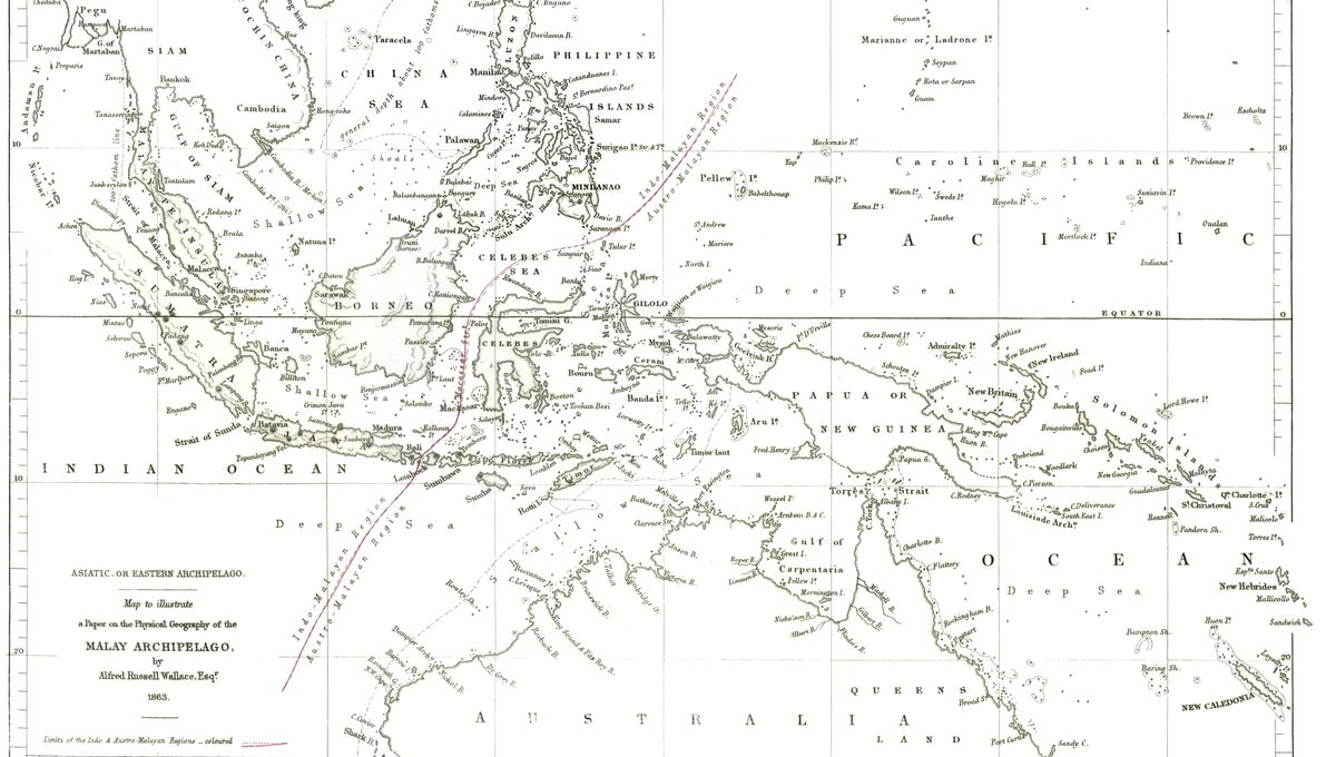 The Imaginary (But Also Real) Line That Divides Species In Asia And ...