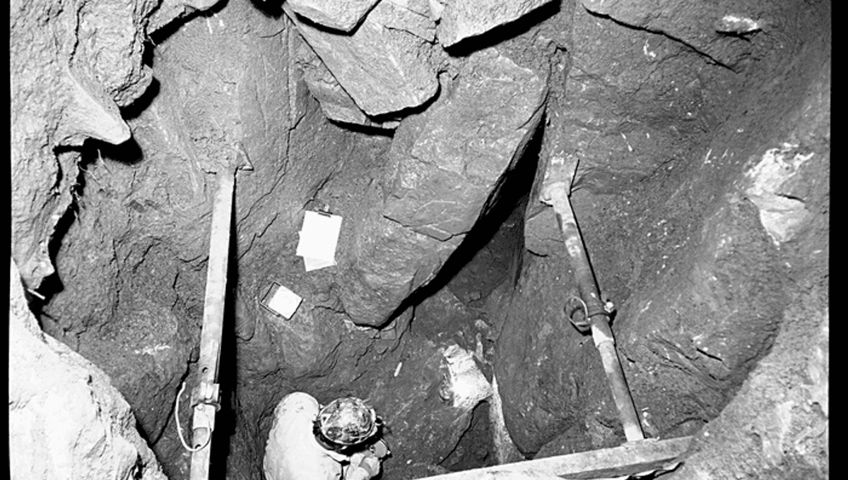 Oldest Evidence Of Plague In Britain Identified Via 4,000-Year-Old ...