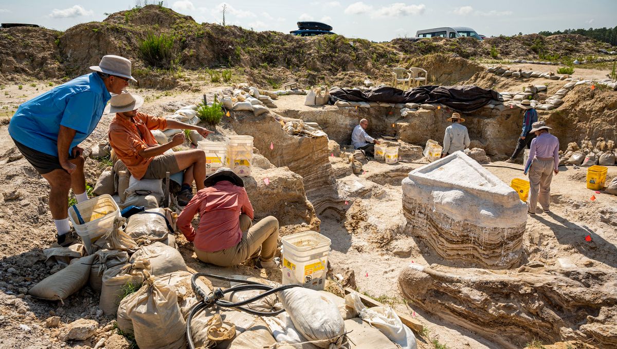 Ancient 5.5-Million-Year-OId “Elephant Graveyard” Discovered In ...