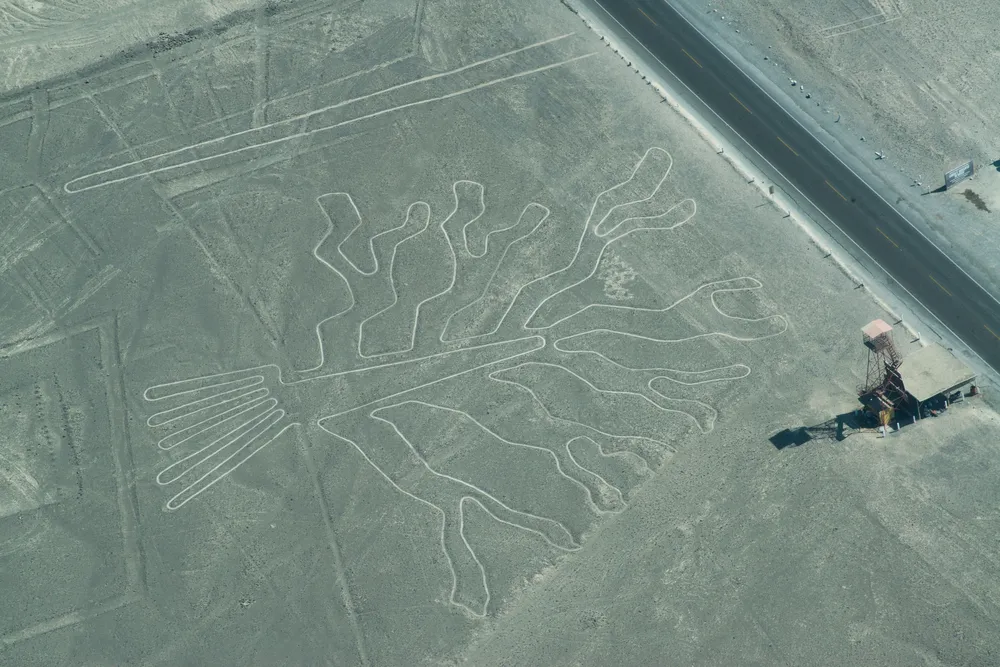 Nazca Lines Tree