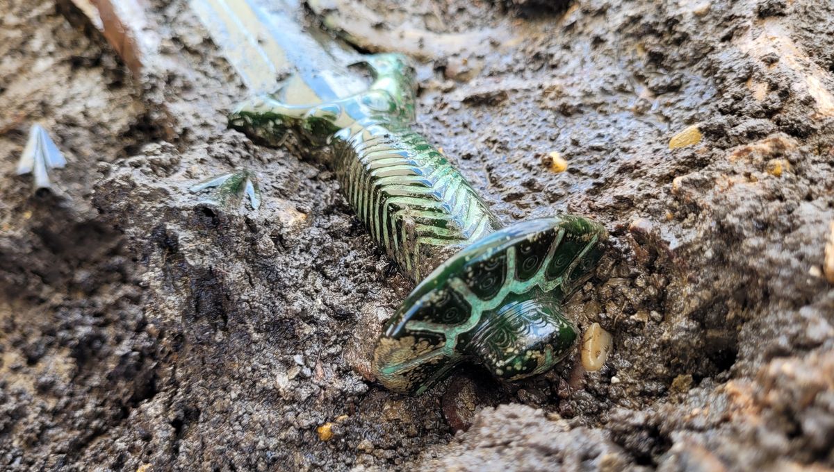 "Exceptional", Bronze Sword Unearthed In Germany Is Still Shiny After ...