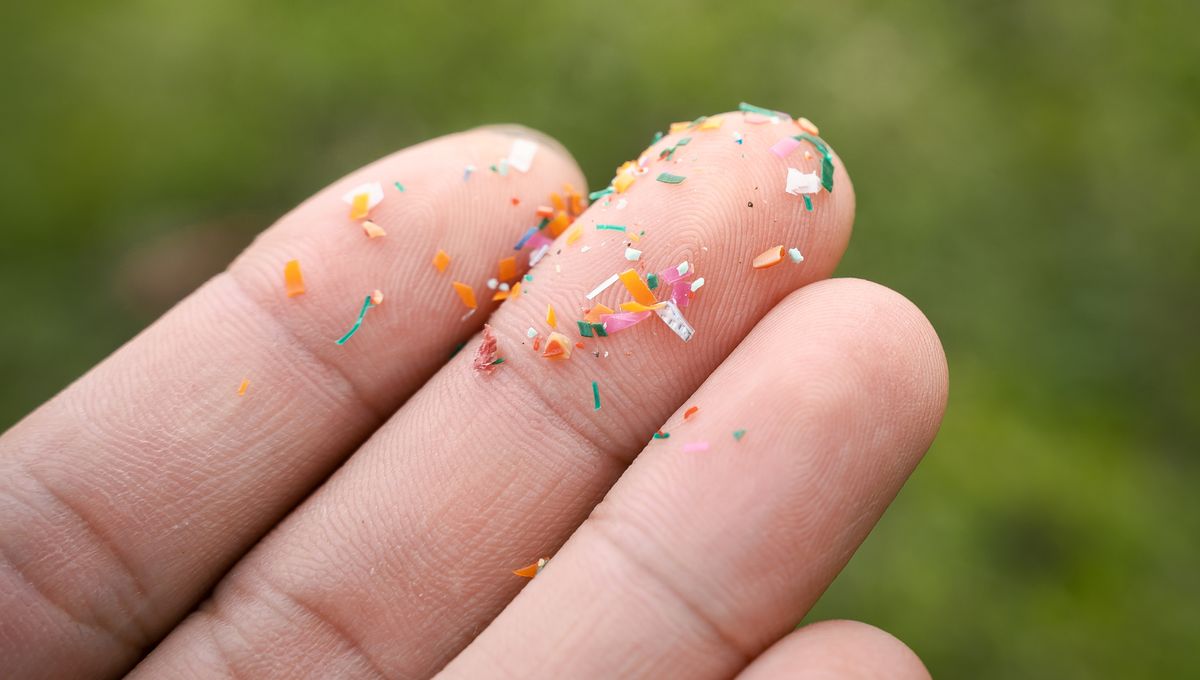 We're All Inhaling Bits Of Microplastic – Where Does It All Go ...