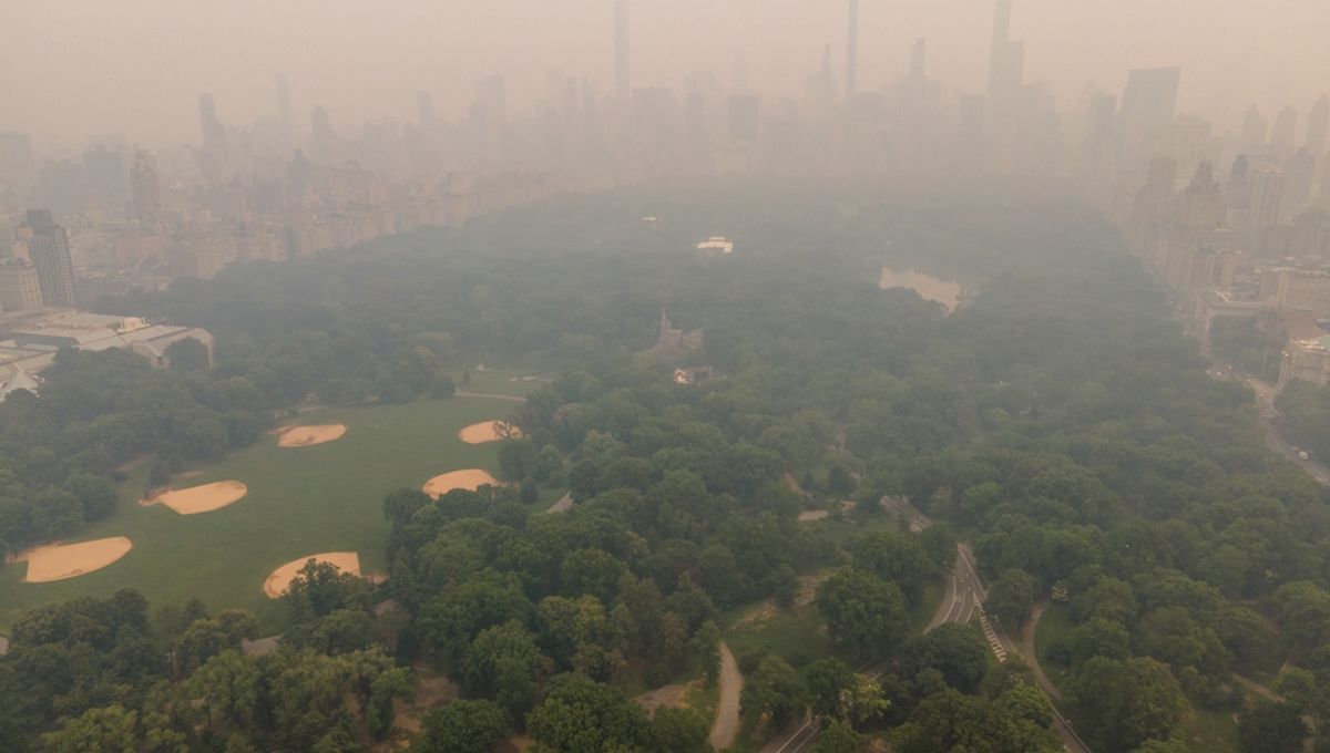 Concrete That Sucks Pollution Out Of The Environment Could Be Air ...