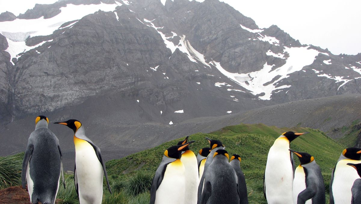 Remnants Of Ancient Lost Continents Still Lurk Beneath Antarctica ...